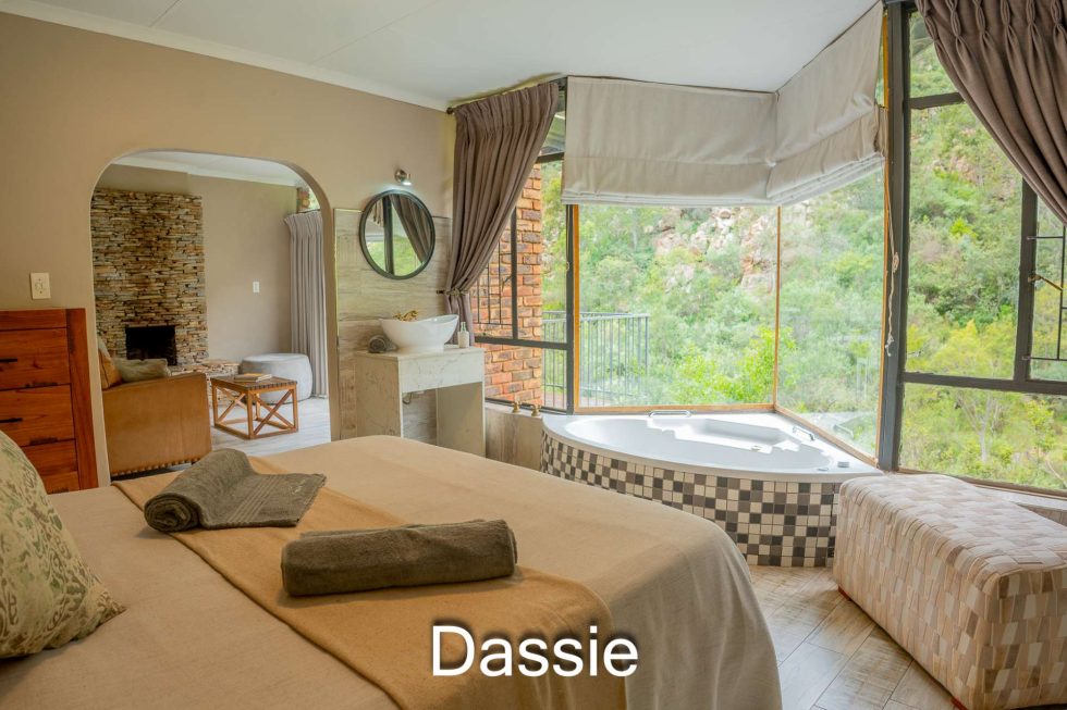 Dassie (Little Haven) | Thabela Thabeng