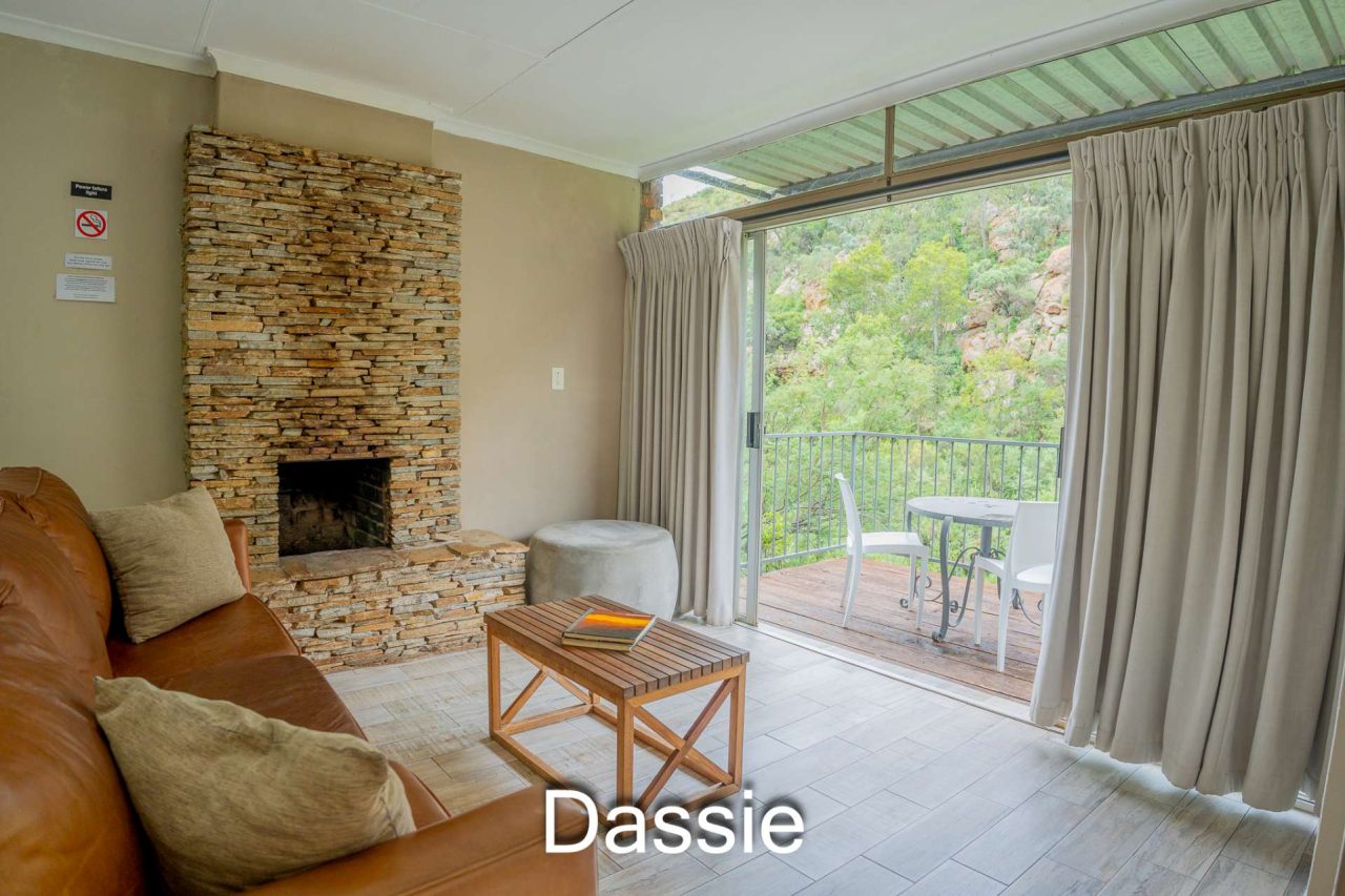 Dassie (Little Haven) | Thabela Thabeng